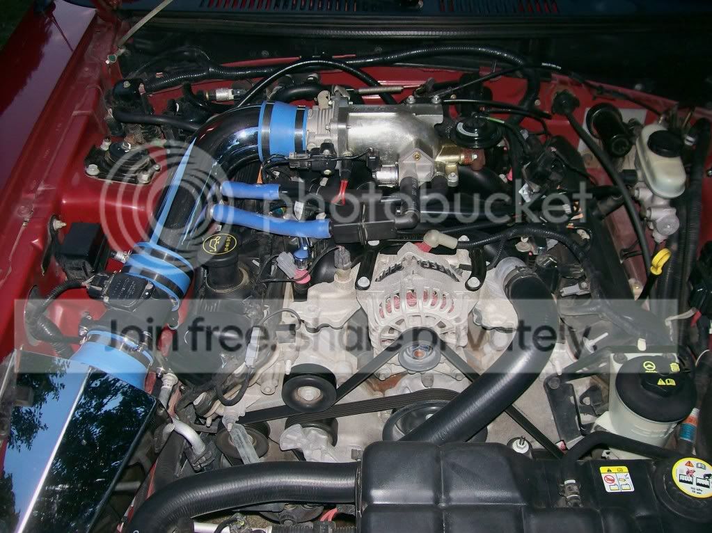 Show your stang or other ride!!!! - Page 19 - Ford Truck Enthusiasts Forums