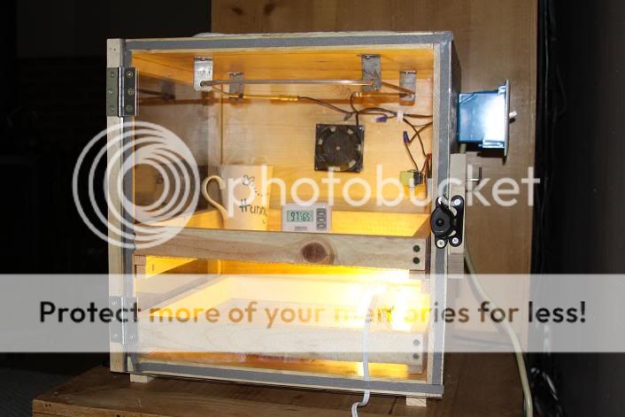 Anyone make a seperate homemade hatcher? | BackYard Chickens - Learn ...