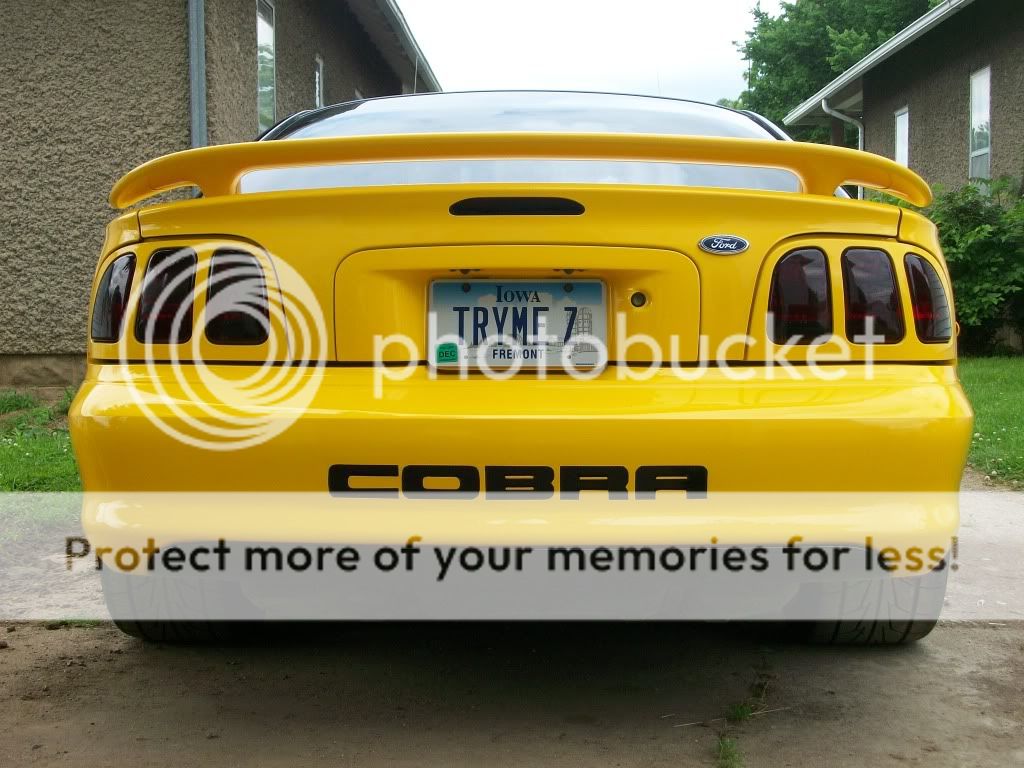 VHT nightshade how to make it shine | Modded Mustang Forums